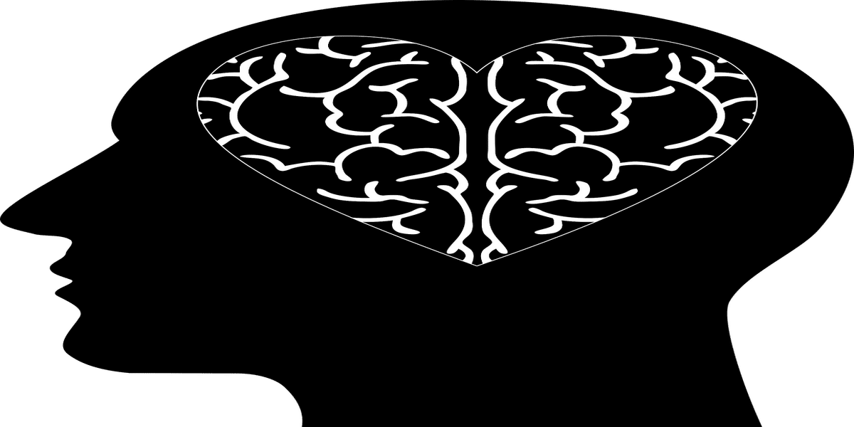 The Psychology Behind Interface Design: How Human Behavior Shapes User ...